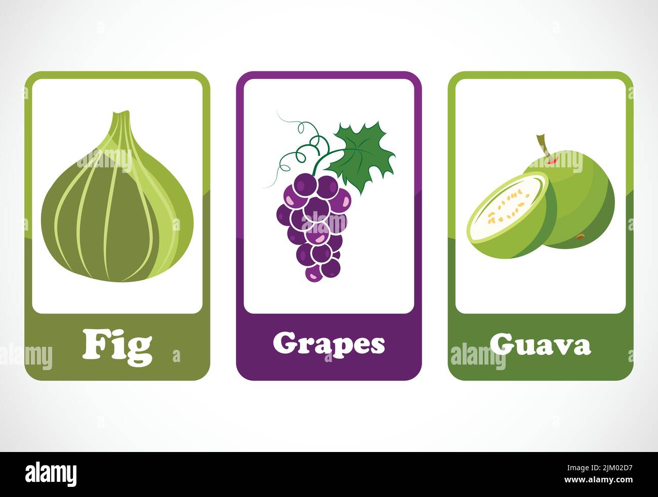 Fruit flashcards for kids. Educational cards for preschool. Printable ...