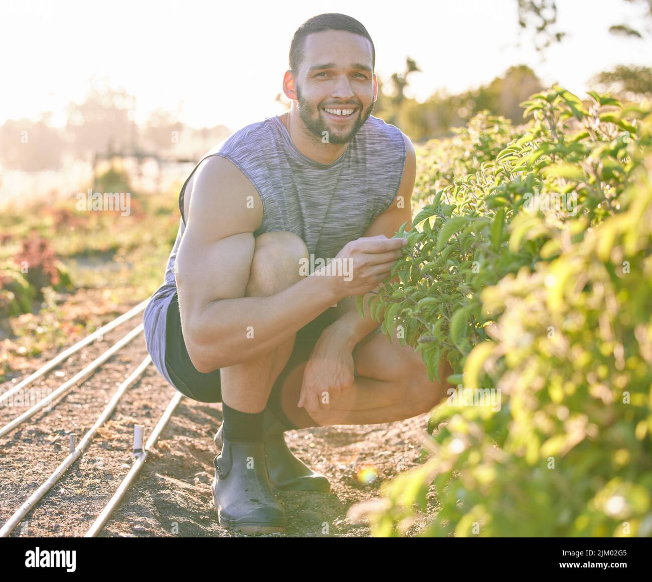 The crops planted last season grew well. a young man inspecting his ...