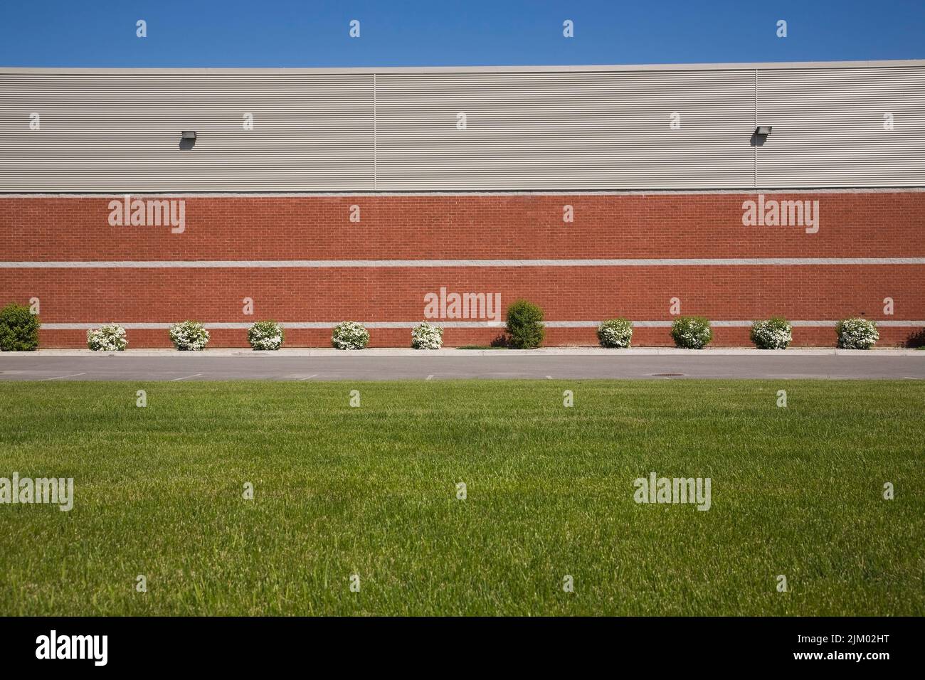 Green grass lawn and flowering shrubs in border next to exterior brick ...