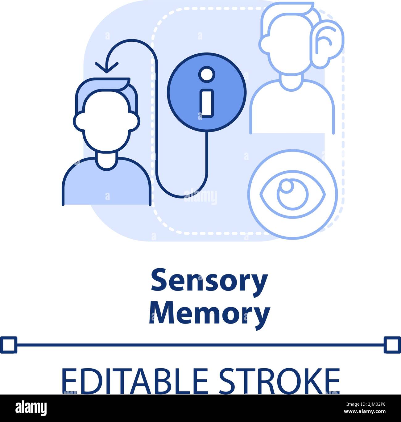 Sensory memory light blue concept icon Stock Vector Image & Art - Alamy