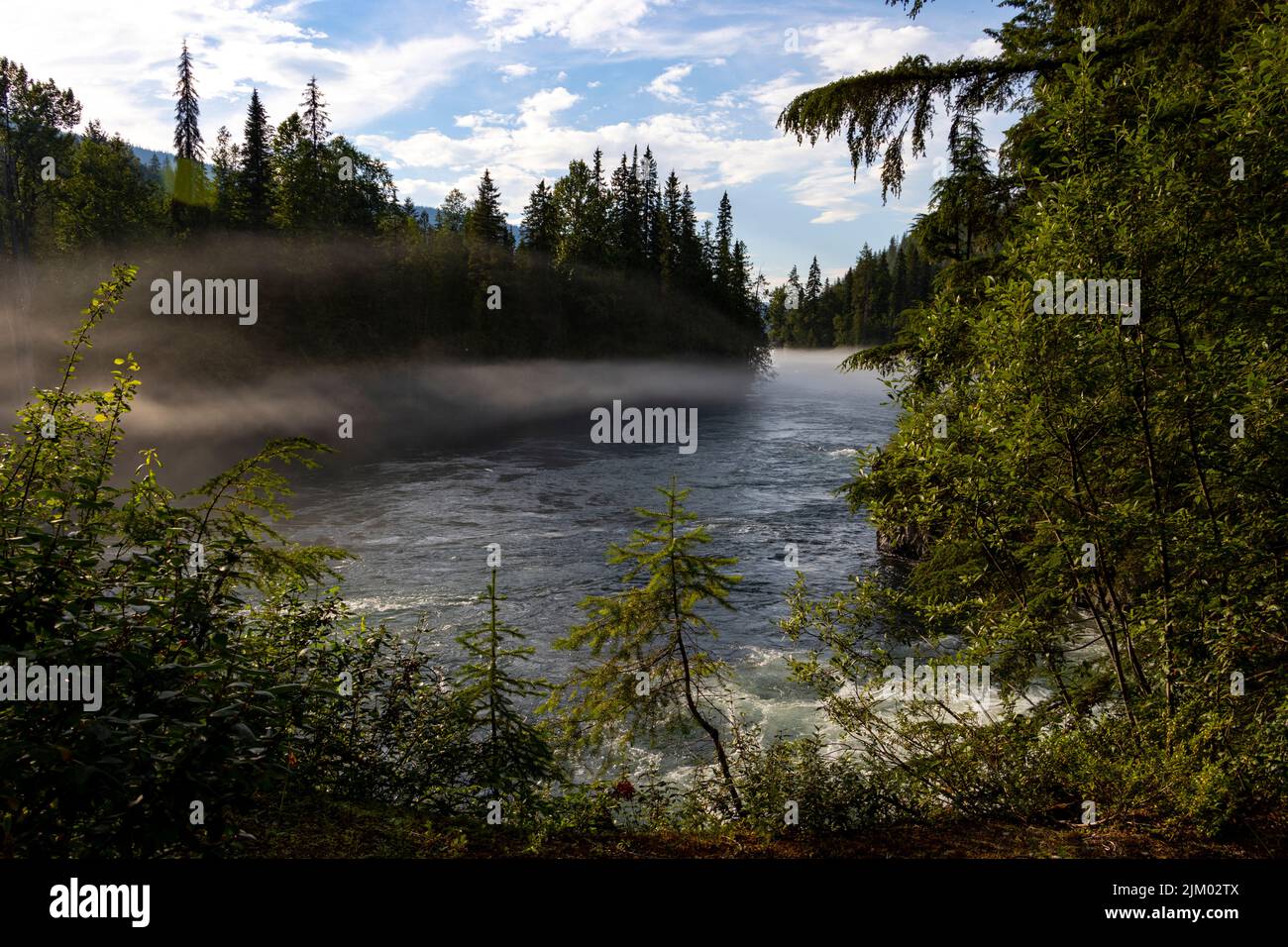 mist coming off river between trees Stock Photo - Alamy
