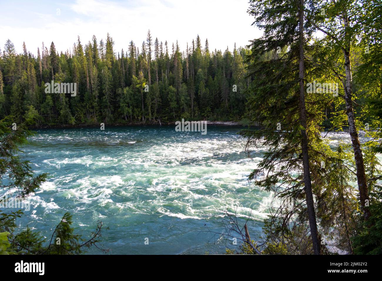 sun shining on rapidly moving river water with tree line Stock Photo ...