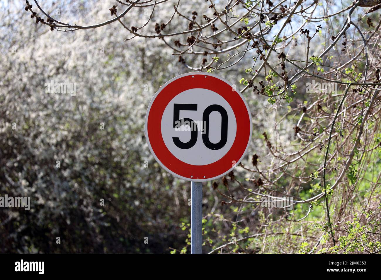 Round speed limit road sign on the road. 50 km per hour Stock Photo - Alamy