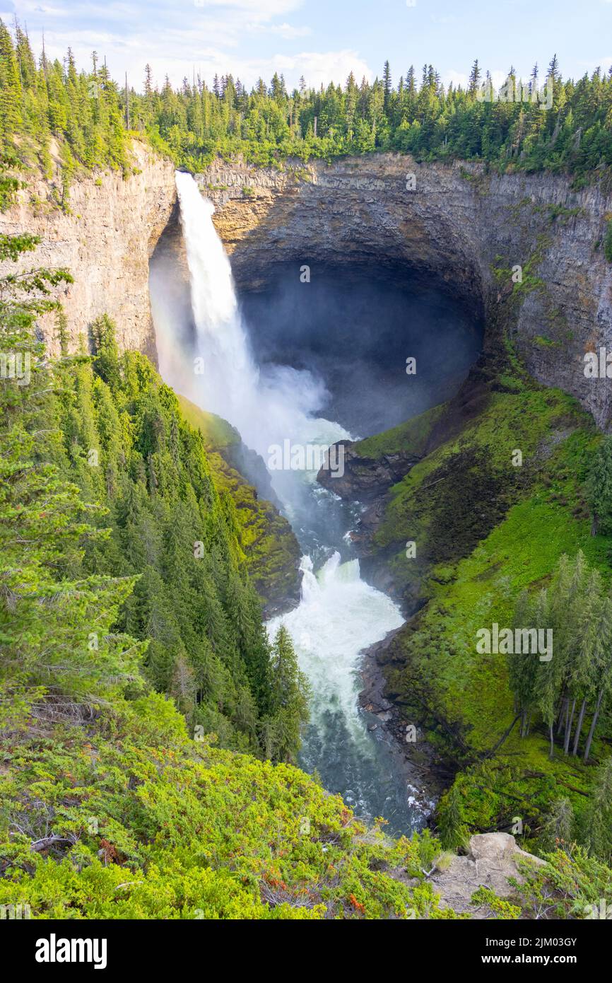 waterfall cascading down mountain in rainforest Stock Photo - Alamy