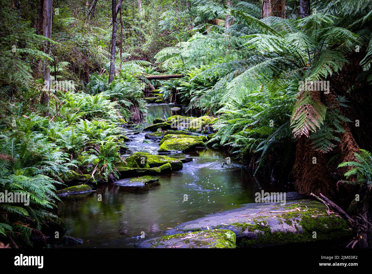 A scenic view of a waterfall flowing down the rocks covered with moss ...