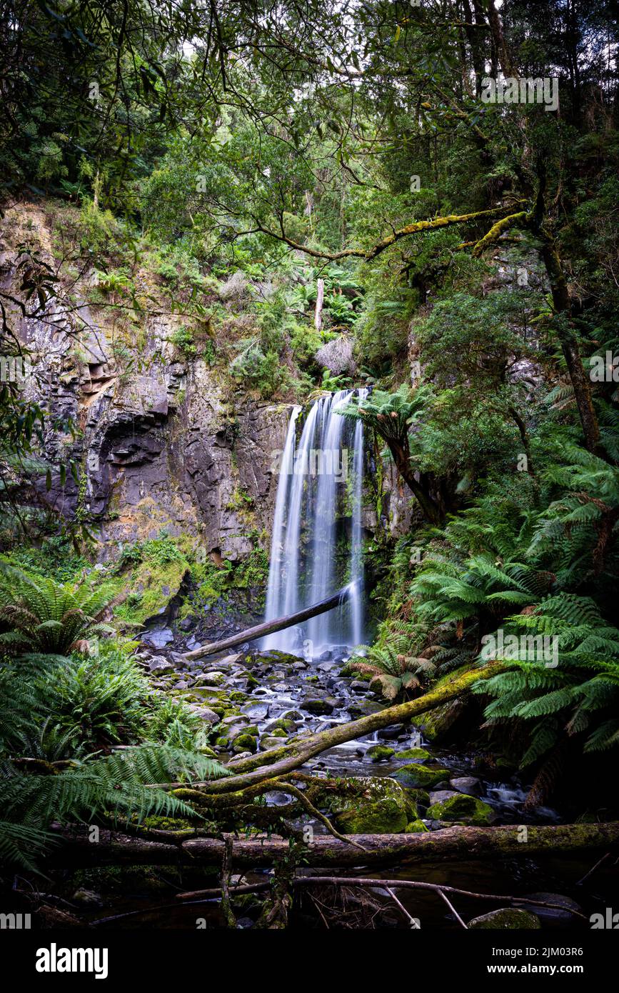 A vertical shot a waterfall flowing down the rocks covered with moss at ...