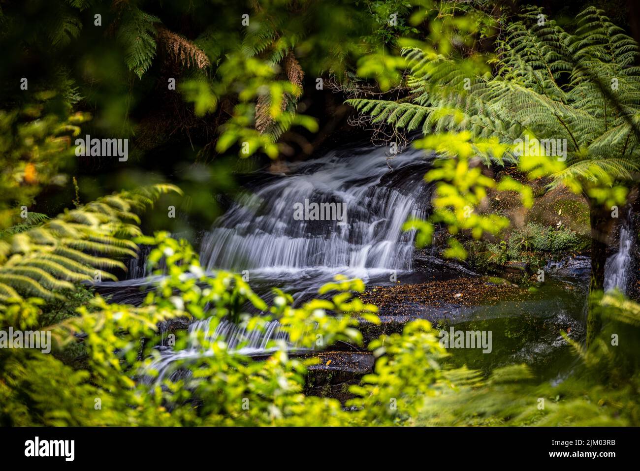 A scenic view a waterfall flowing down the rocks covered with moss at ...