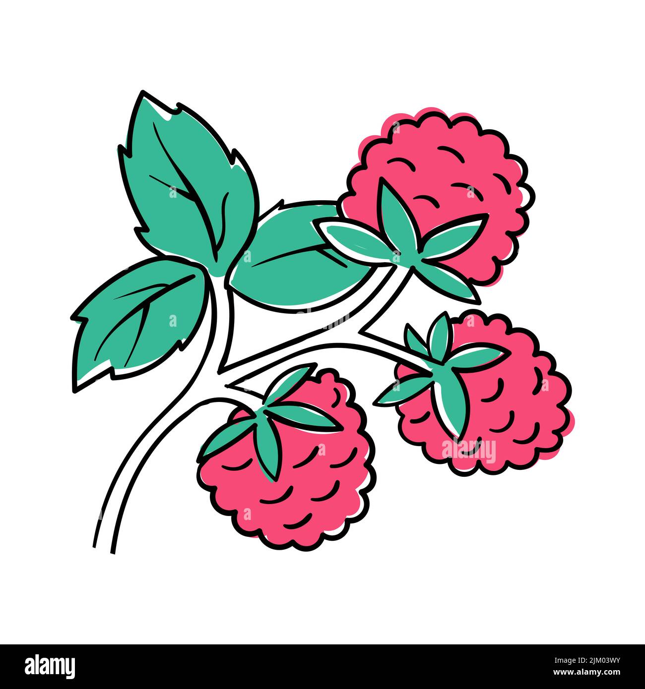 Raspberry Coloring Book elements. Black countour on white background ...