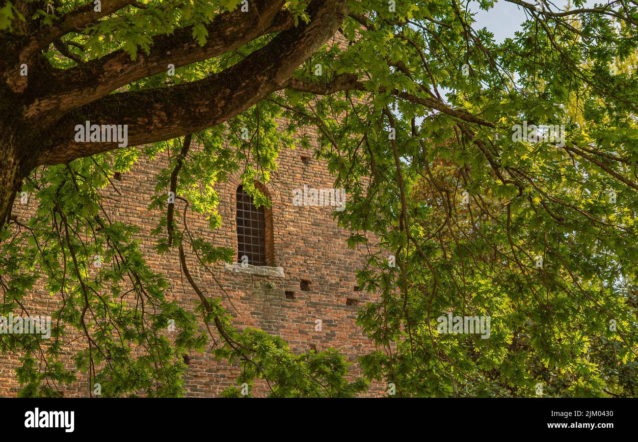 Dona Tower and Grimaldi Tower: the two Ancient Towers in Rovigo in ...