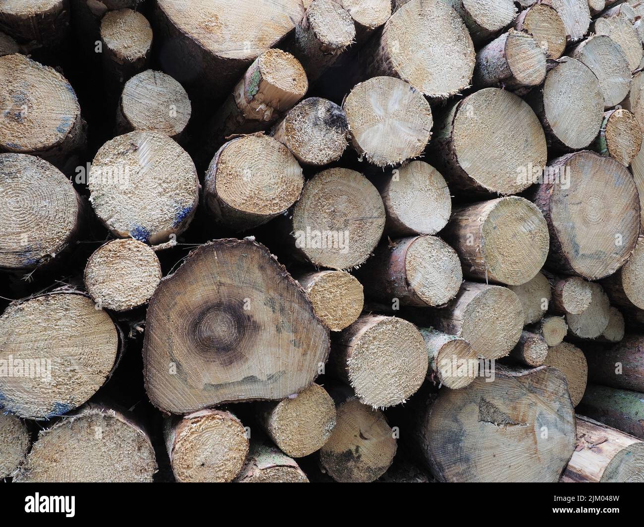 Round stack hi-res stock photography and images - Alamy