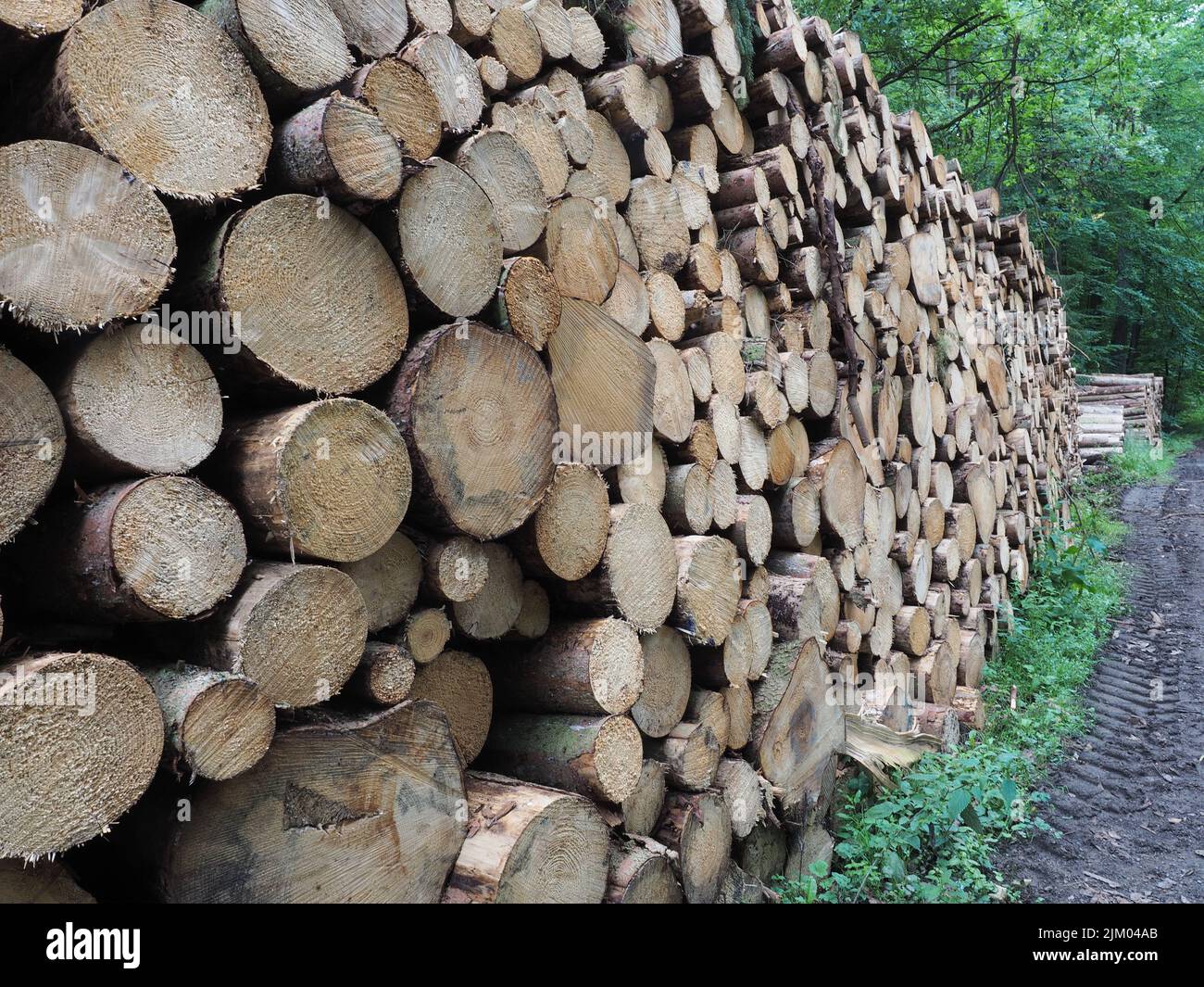 A stack of round brown firewood along the road Stock Photo - Alamy