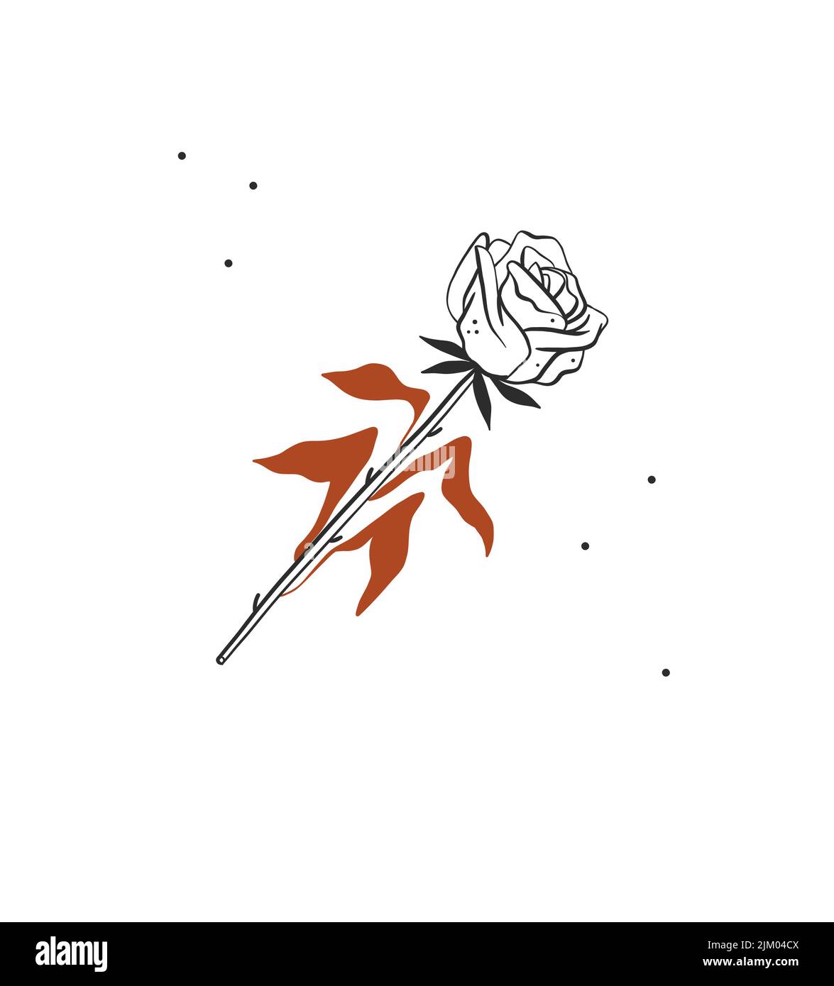 Hand drawn abstract vector graphic clipart illustration boho rose ...