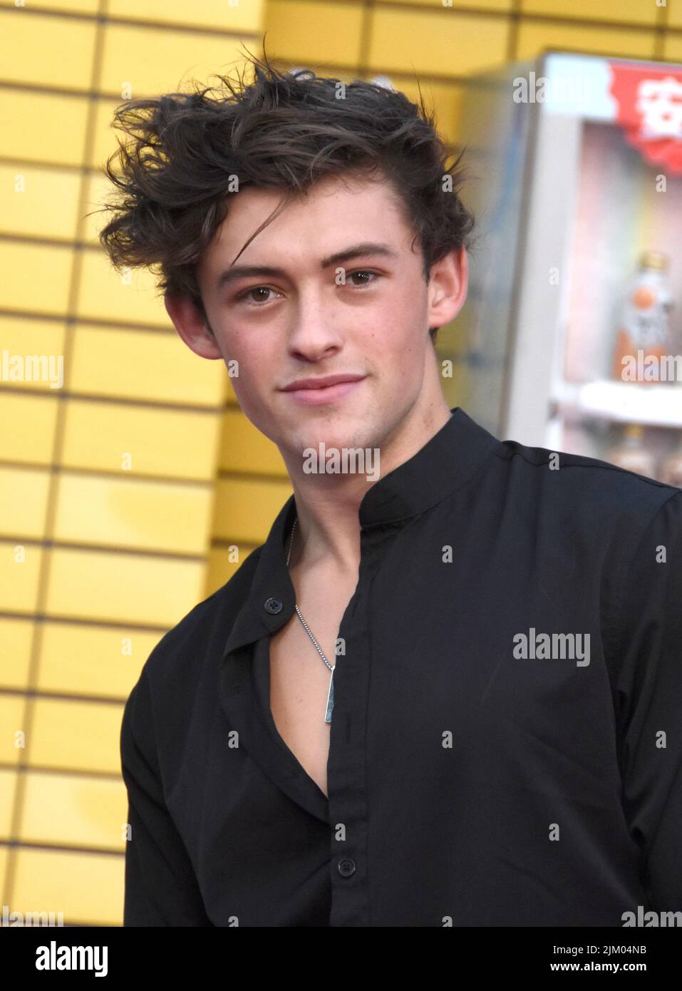 Los Angeles, California, USA 1st August 2022 Actor/Model Rainer Dawn ...