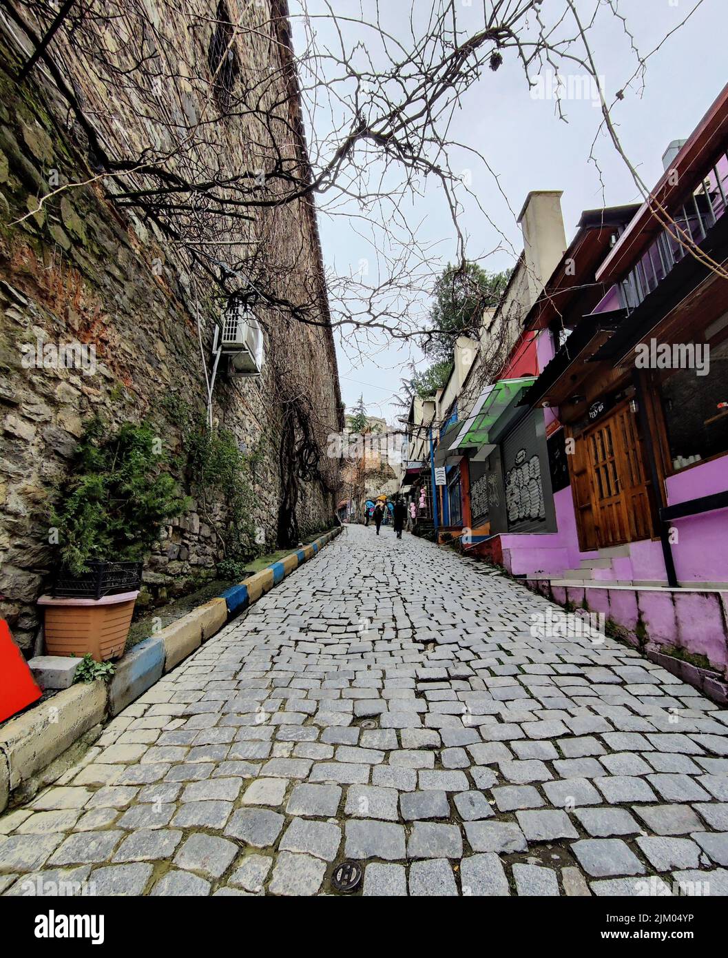 There are no straight lines or sharp corners in nature. Therefore ...