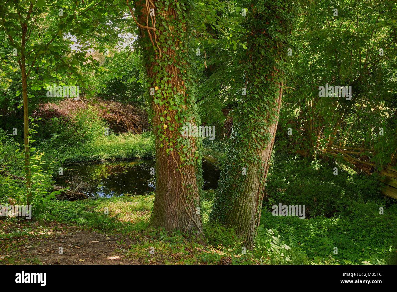 Countryside, farmland and forest - close to Lyon, France. A series of ...