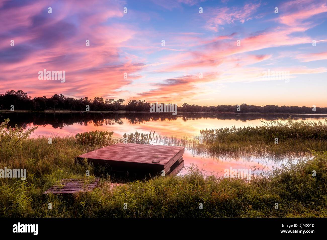 A beautiful view of a small floating dock on a marshy lake shore at ...