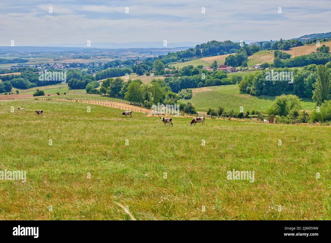 Countryside, farmland and forest - close to Lyon, France. A series of ...