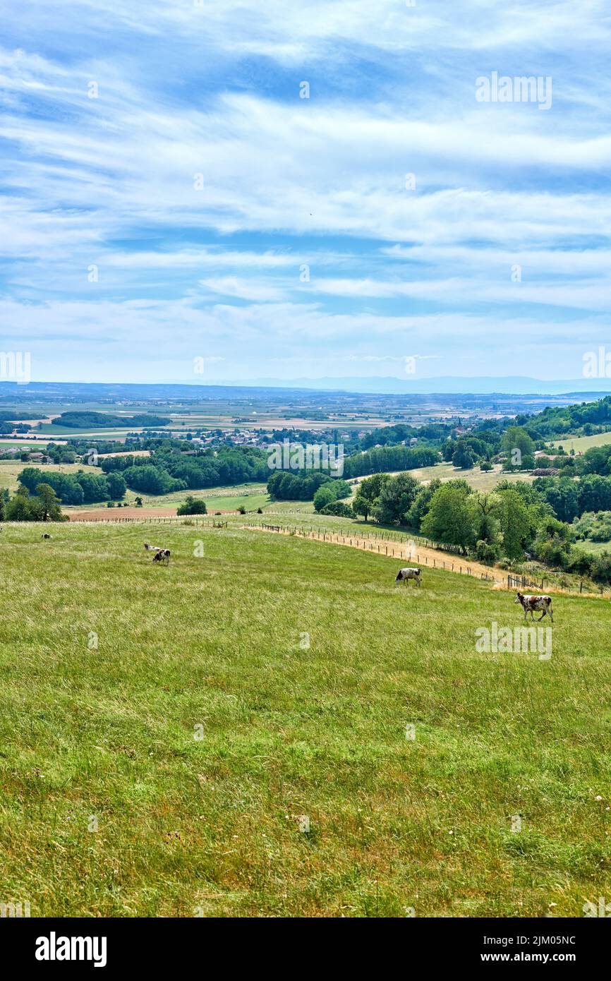 Countryside, farmland and forest - close to Lyon, France. A series of ...