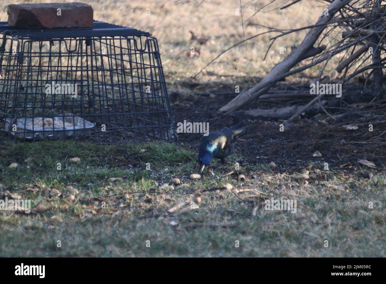 Trying to find food hi-res stock photography and images - Alamy