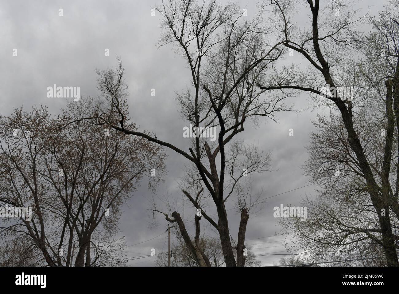 Grey cloud background hi-res stock photography and images - Alamy