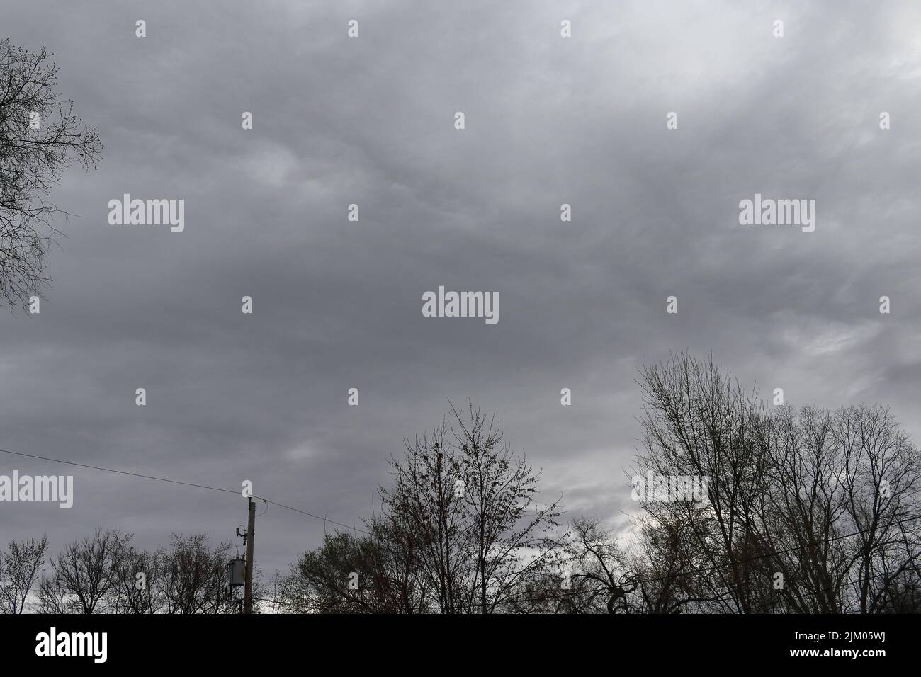 A cloudy dark grey sky above the leafless dry trees Stock Photo - Alamy