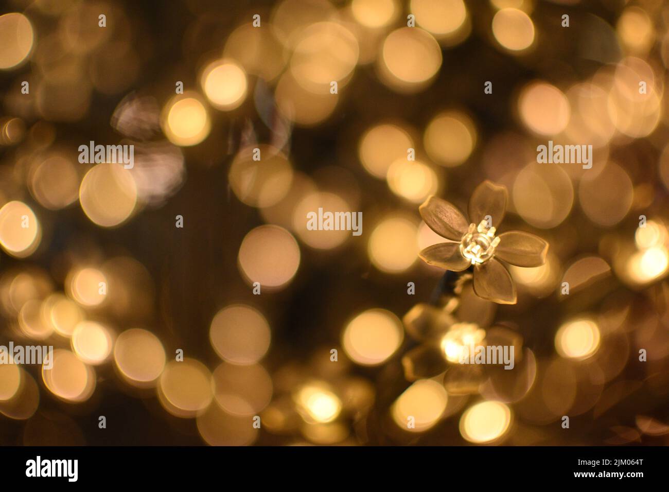 A small light bulb in a flower shape on golden glare background Stock ...