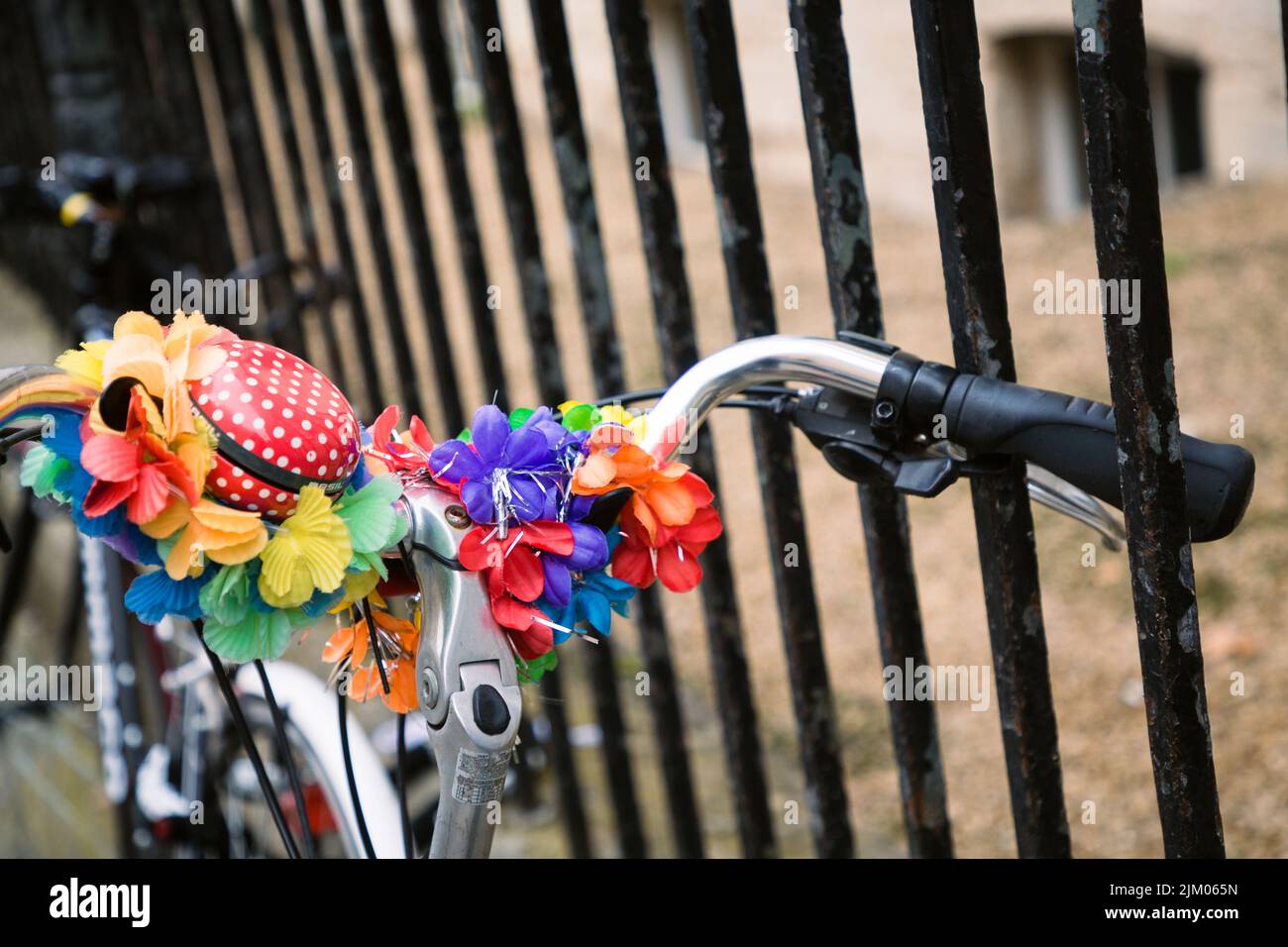 The decorated handlebars of a push-bike chained up to railings in outside the university ...