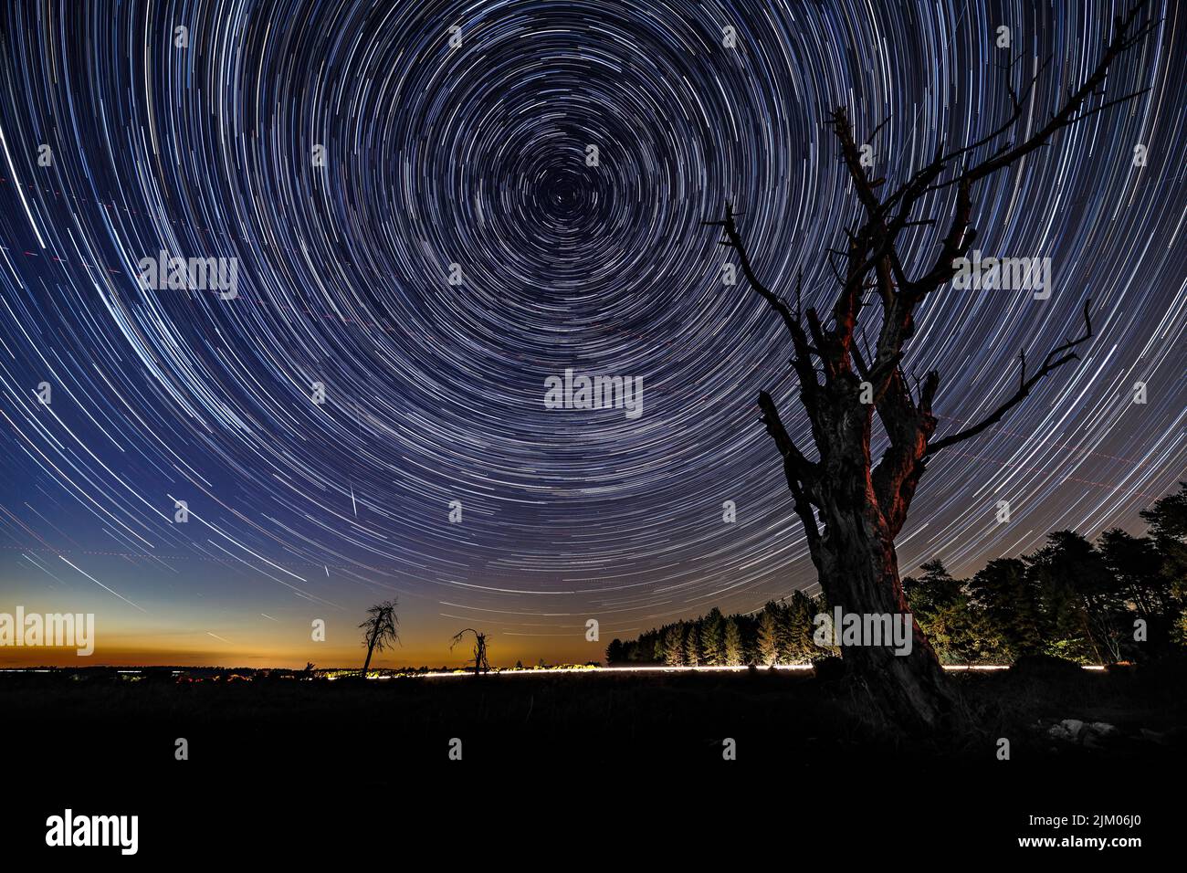 A low angle shot of round star trails over a dead tree in New Forest ...