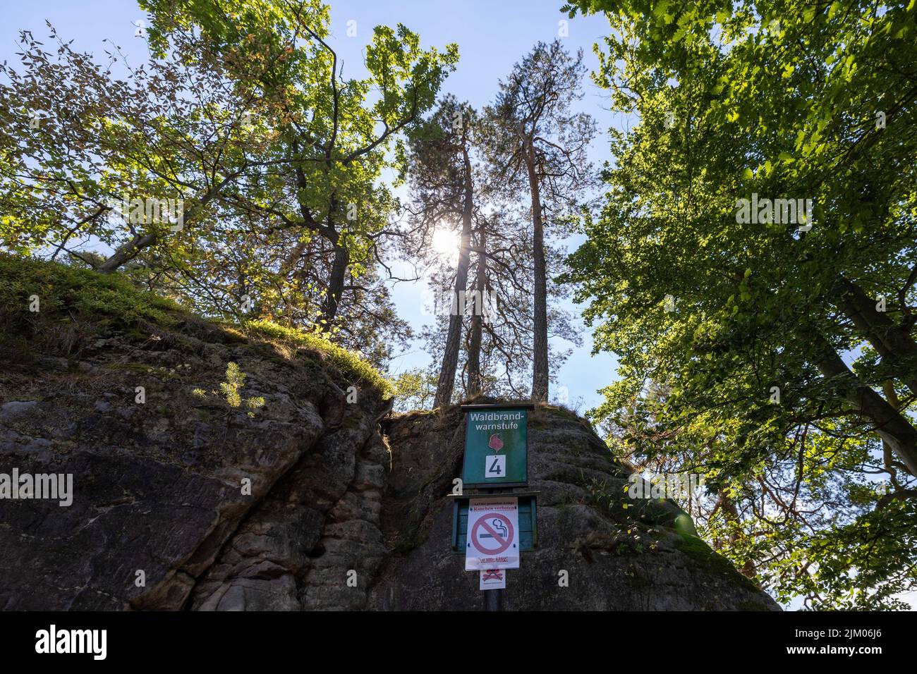 No smoking sign in forest hi-res stock photography and images - Alamy