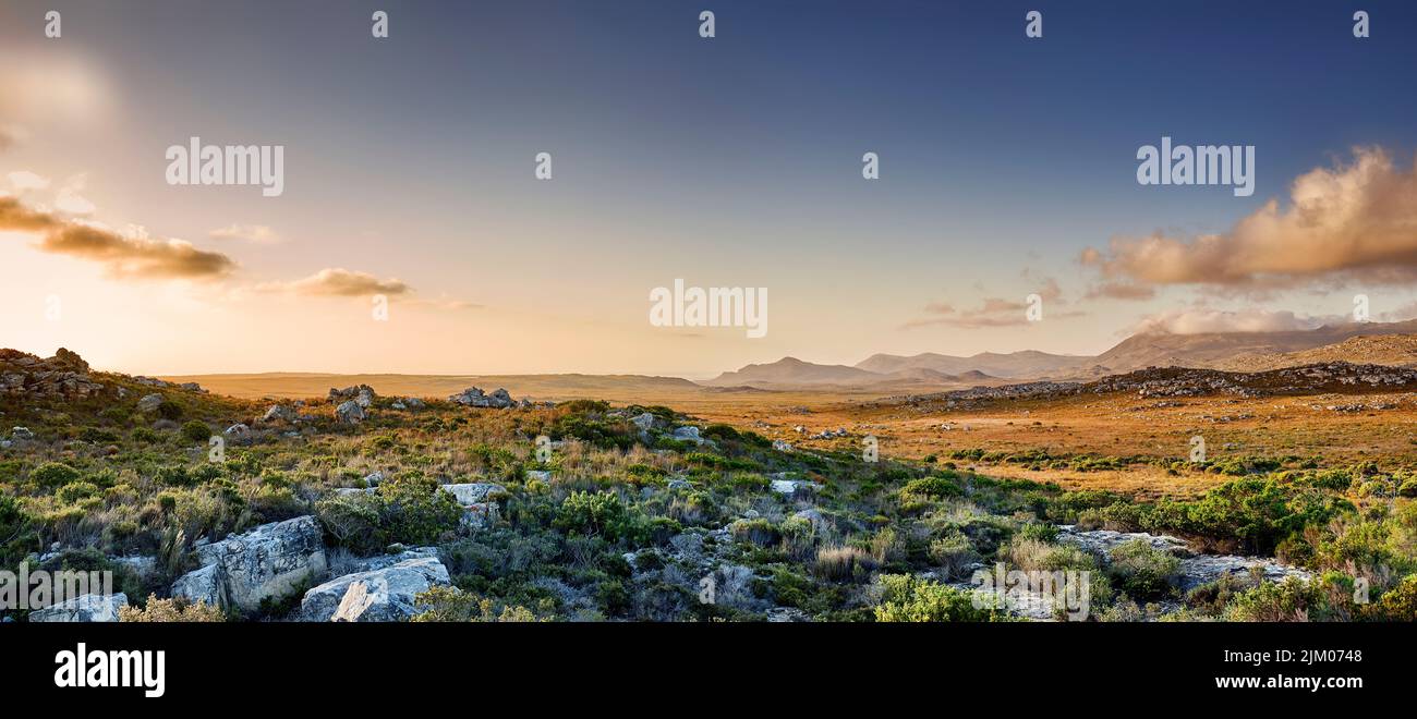The wilderness of Cape Point National Park. The wilderness of Cape ...