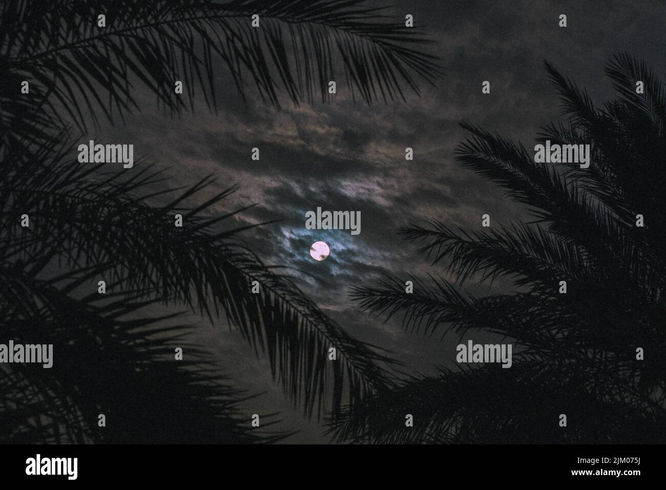 Shot full moon behind hi-res stock photography and images - Alamy