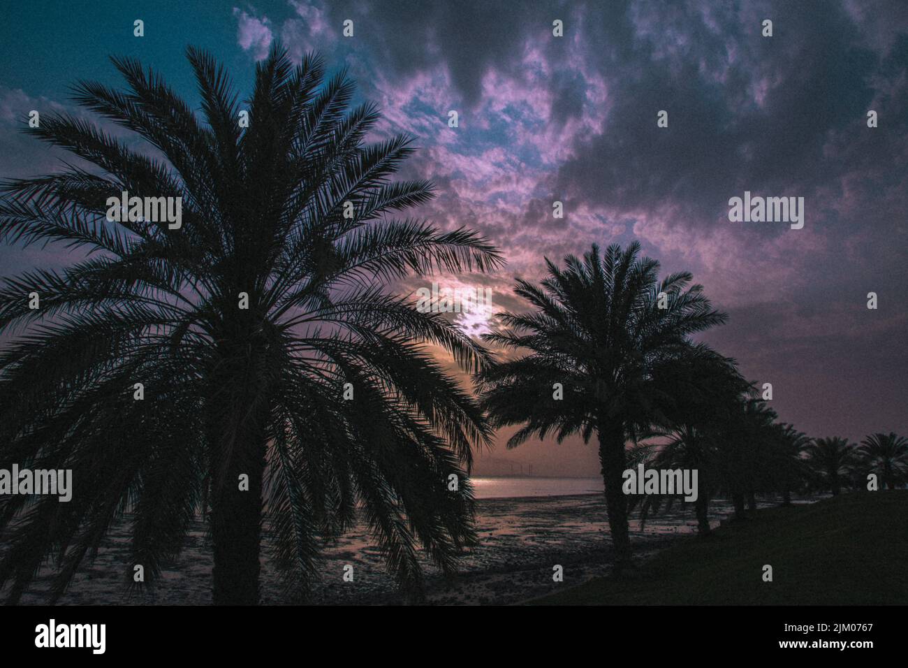 Shot full moon behind hi-res stock photography and images - Alamy