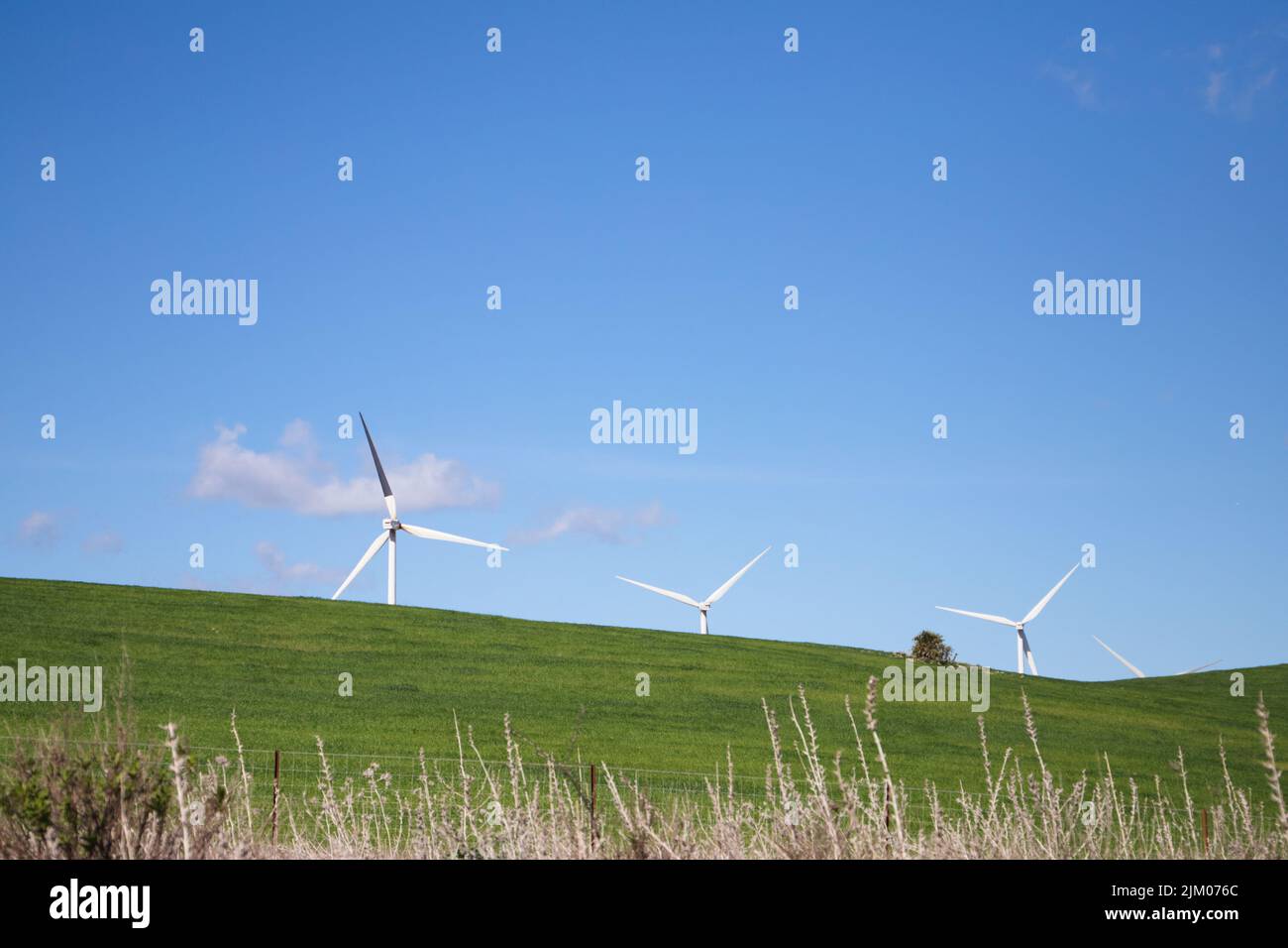 Wind turbine generators in the green landscape and blue sky with white ...
