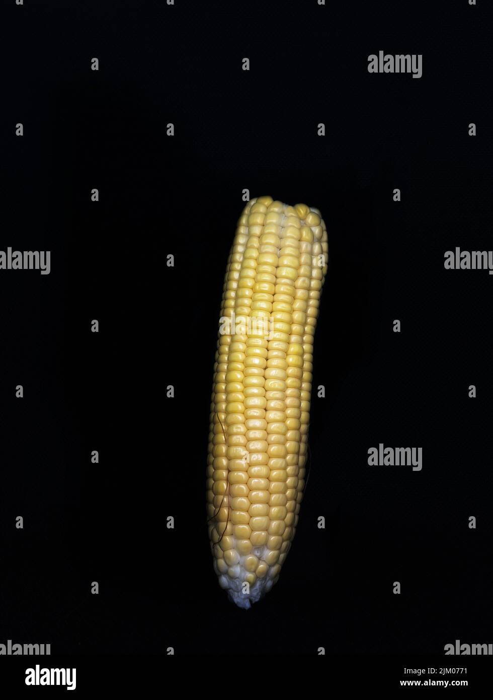 Black corn on the cob hi-res stock photography and images - Alamy