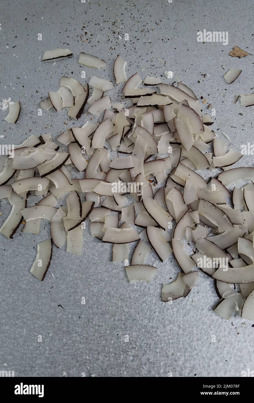 A vertical shot of a dry coconut slices on a gray surface Stock Photo ...