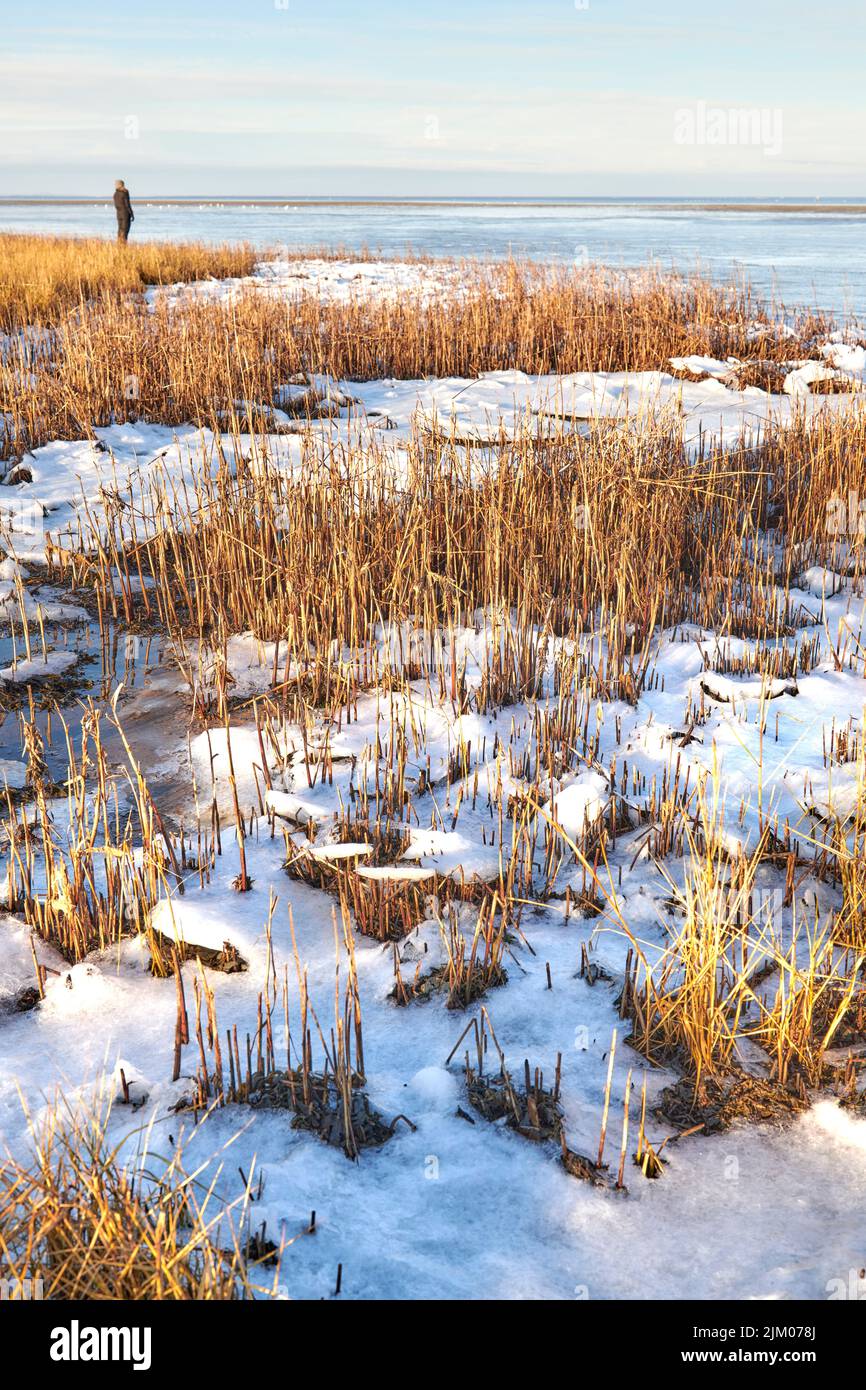 Danish Winter landscape by the coast of Kattegat. Photos of Danish ...
