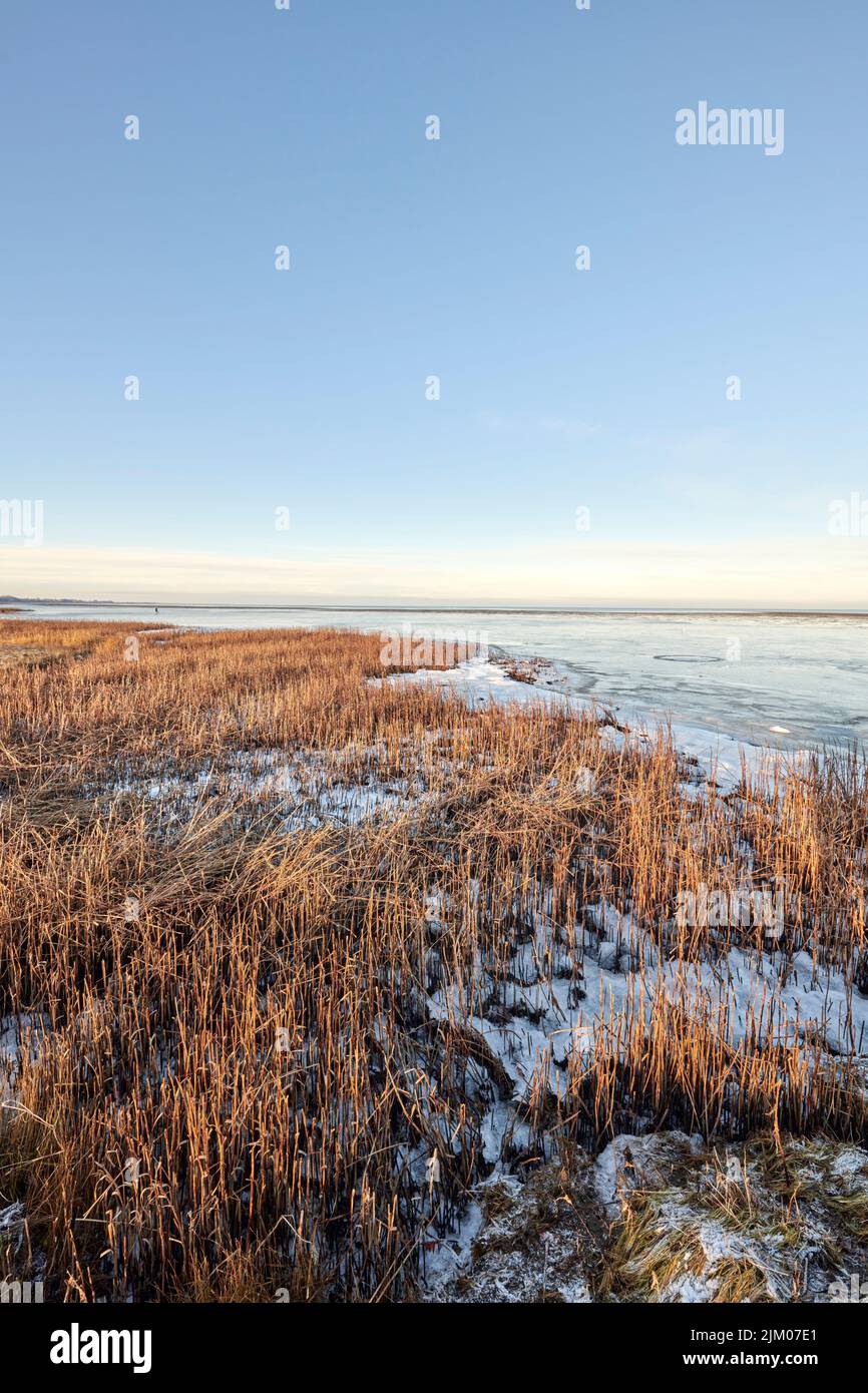 Danish Winter landscape by the coast of Kattegat. Photos of Danish ...