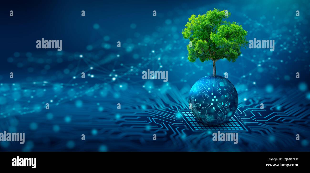 Tree growing on Circuit digital ball. Digital and Technology ...