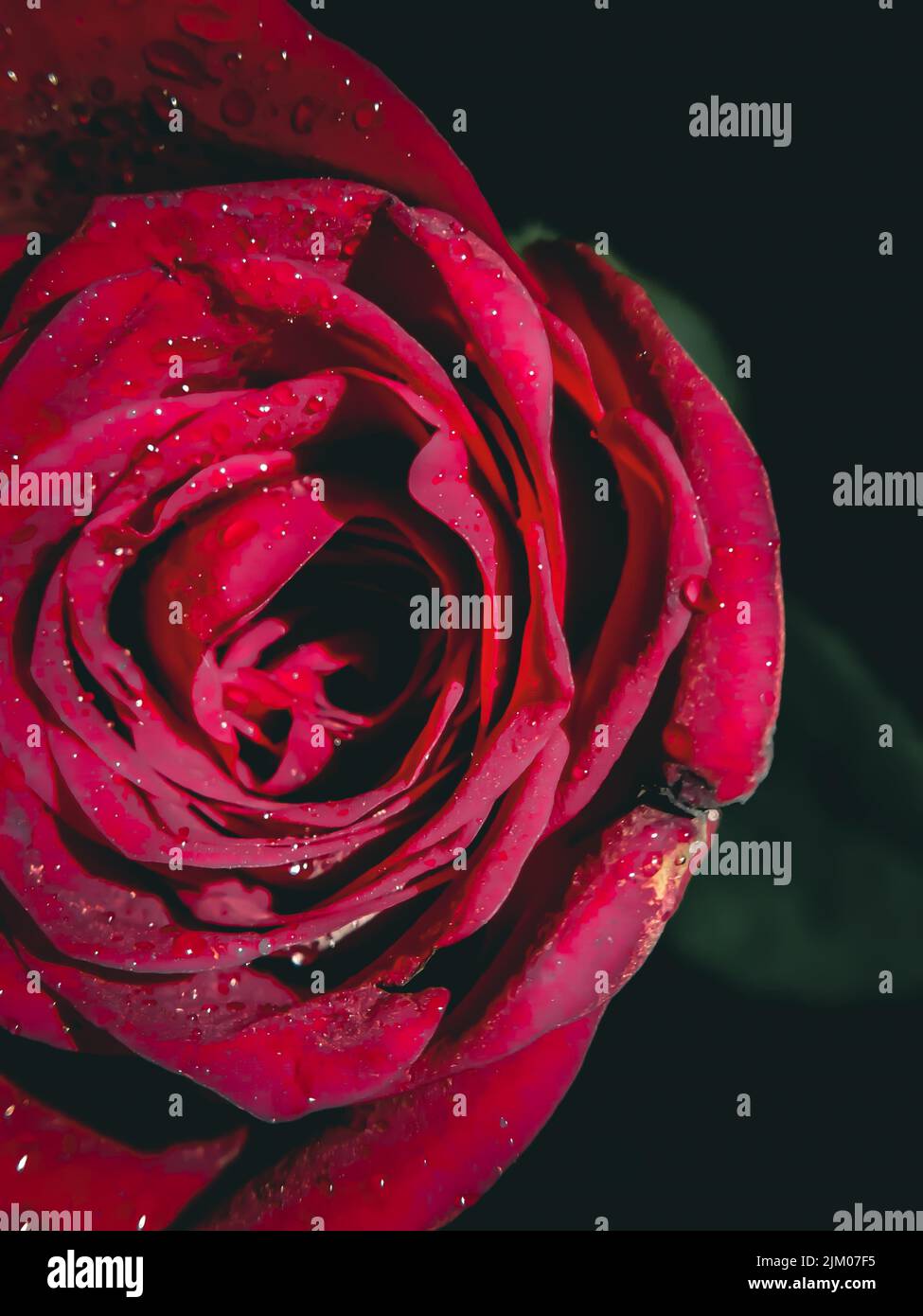 Closeup shot beautiful sparkling hi-res stock photography and images ...