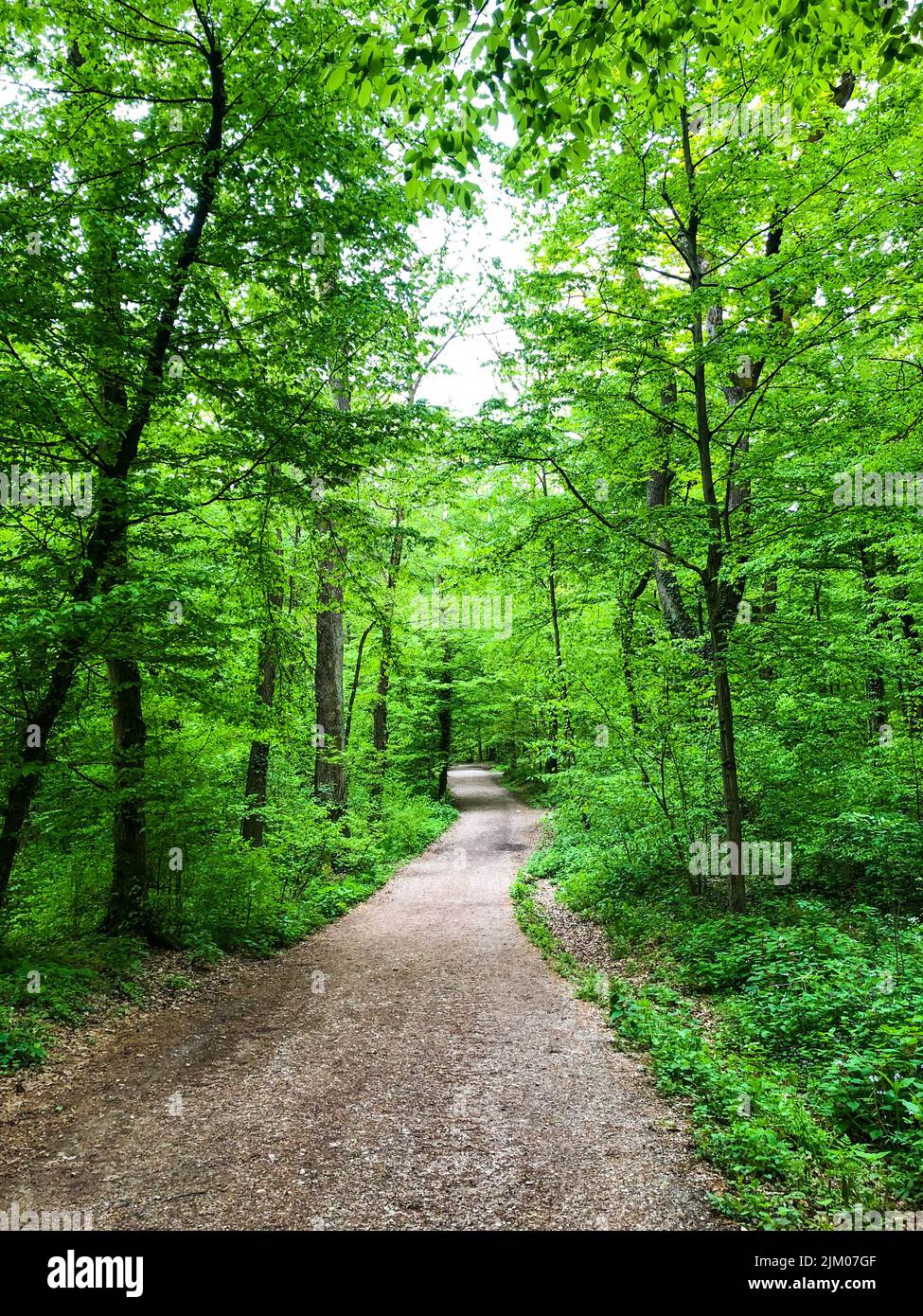 Vertical shot pathway through hi-res stock photography and images - Alamy