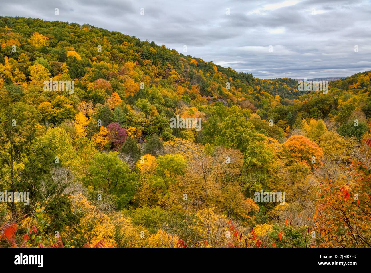 A beautiful view of a colorful forest at the Robert H. Treman State ...