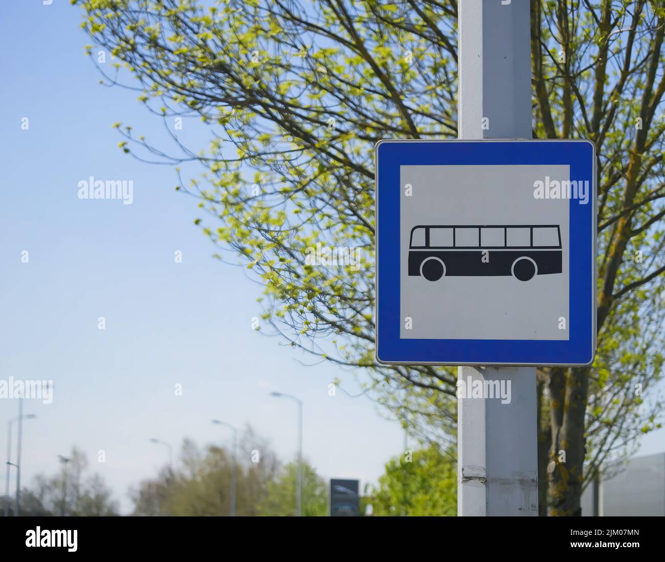 A silver pole with a bus street sign near a tree Stock Photo - Alamy