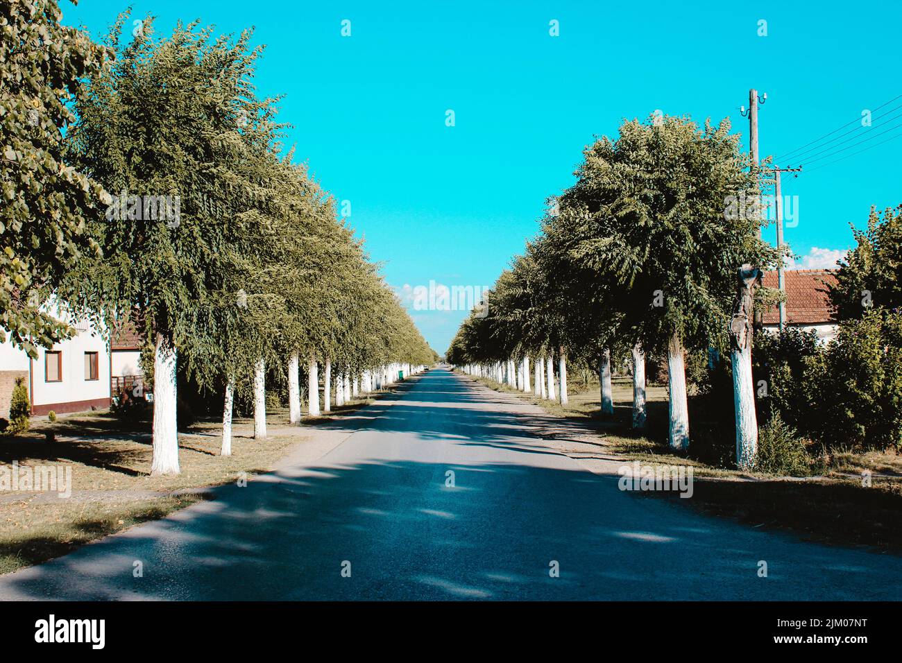 Belo blato hi-res stock photography and images - Alamy