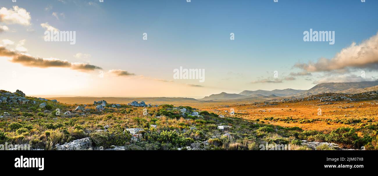 The wilderness of Cape Point National Park. The wilderness of Cape ...