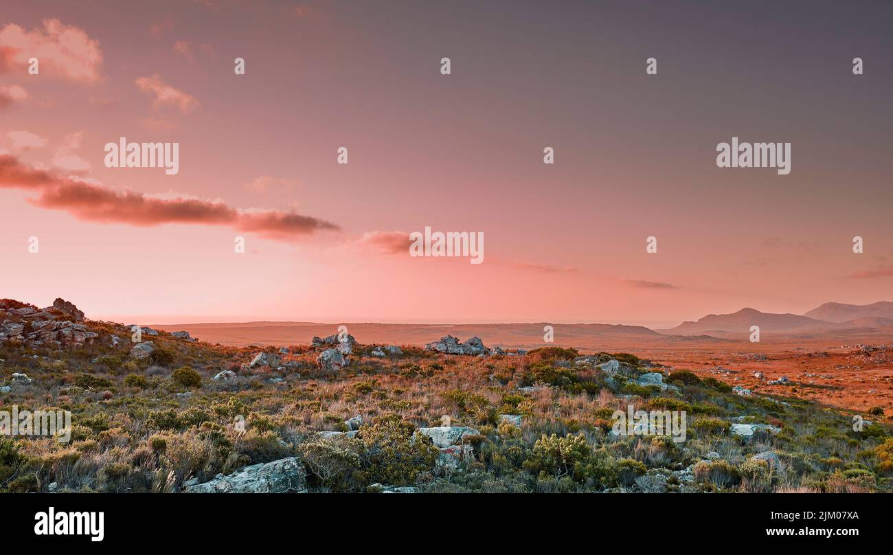 The wilderness of Cape Point National Park. The wilderness of Cape Point National Park, Western ...