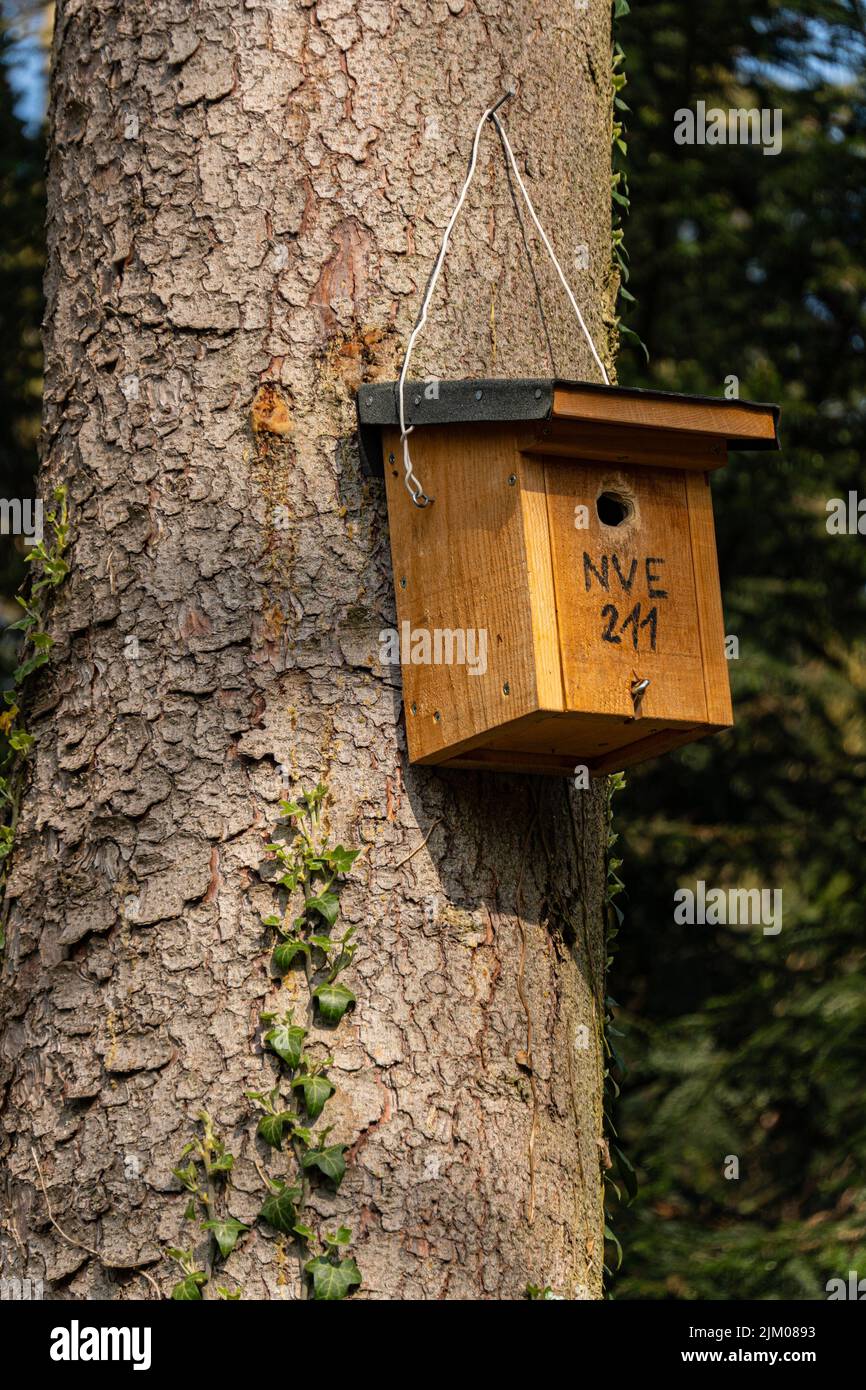 A closeup of a wooden birds house hanging on a tree trunk Stock Photo ...