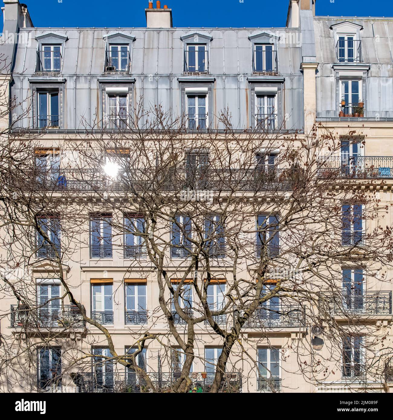 Paris, typical facade and windows, beautiful building, with old zinc ...