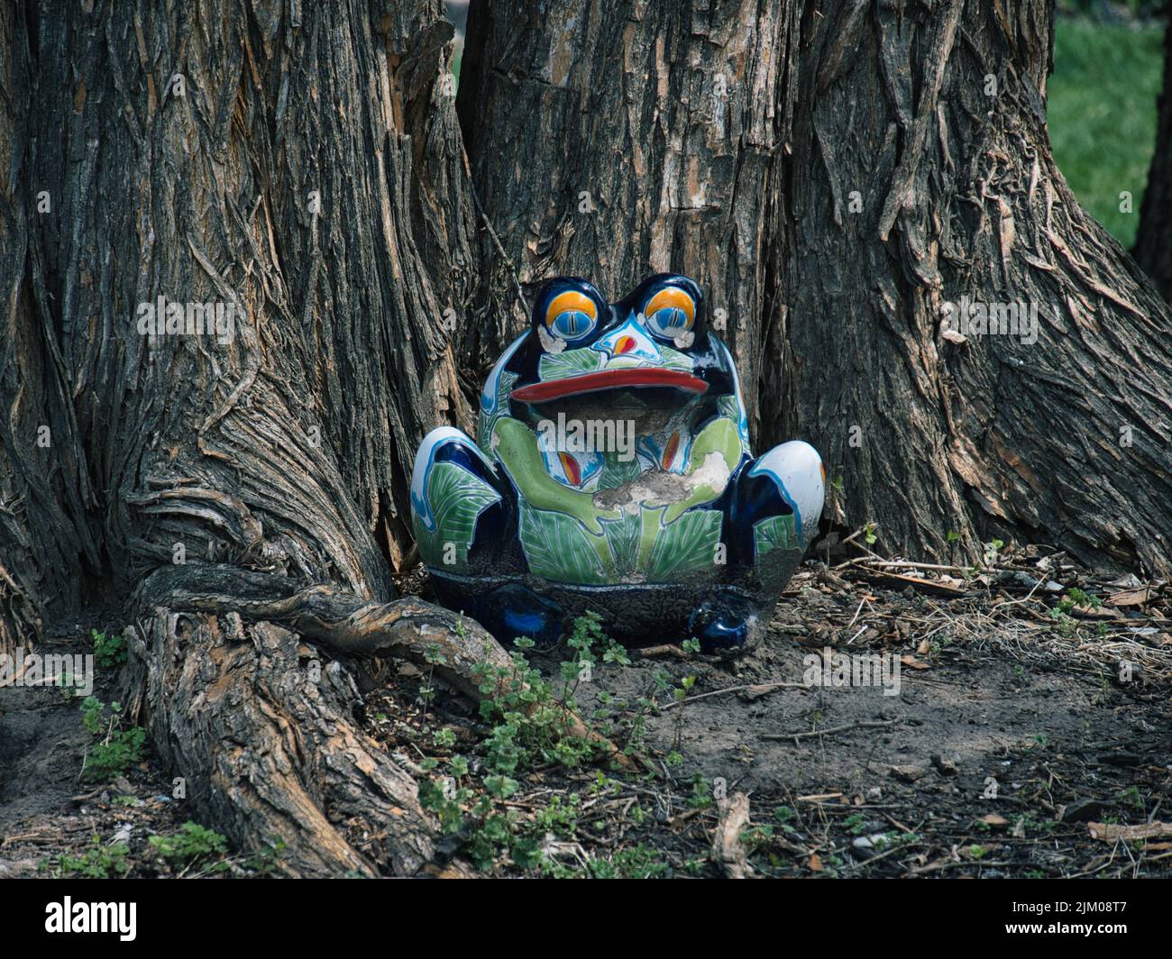 A closeup of a cool frog lawn ornament against an old tree trunk Stock ...