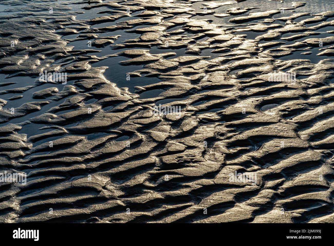 Wet beach sand hi-res stock photography and images - Alamy