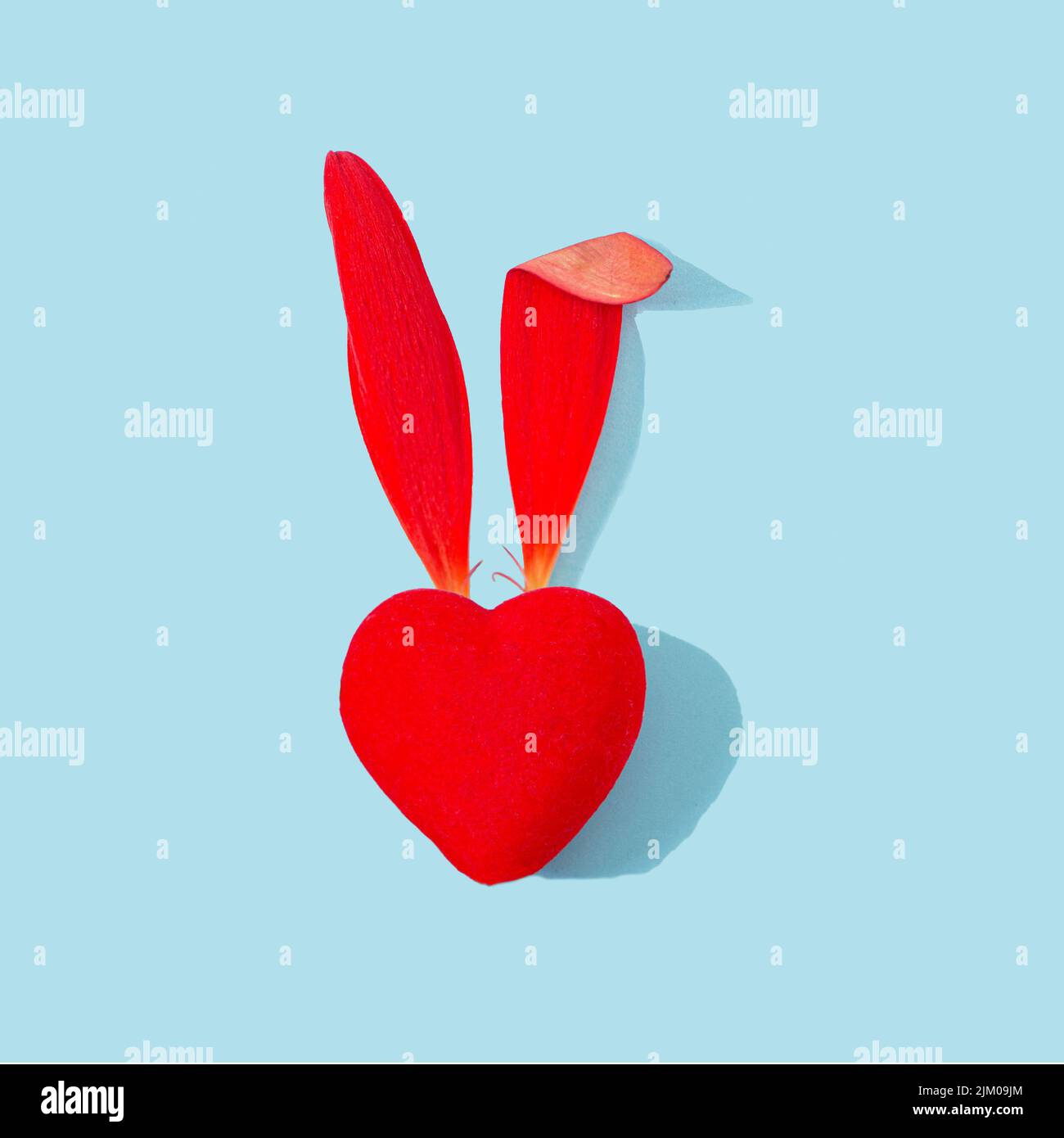 Red heart with rabbit ears in the shape of flower petals on a blue ...